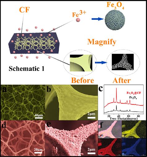 Schematic 1 Strategy For The Synthesis Of Fe 3 O 4 Cf A Low Magnify Download Scientific
