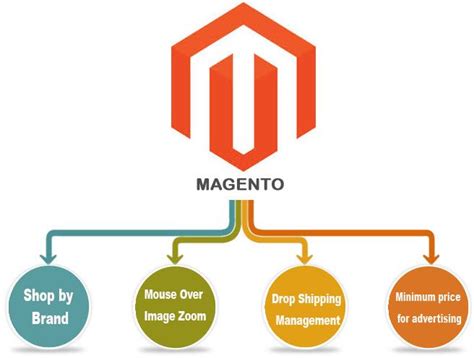 Magento Ecommerce Development At Best Price In Indore Digiclay Infotech Pvt Ltd