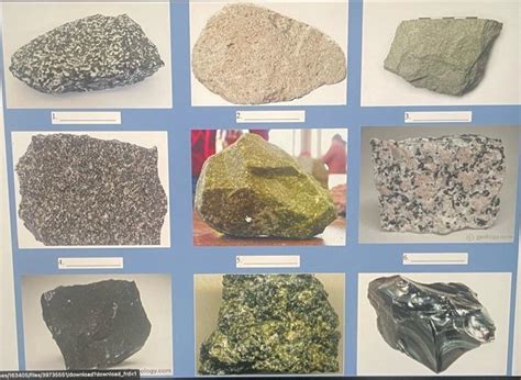 Solved Gabbro Peridotite Diorite Obsidian Rhyolite