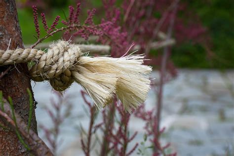 Panduan Lengkap Menggunakan Bootstrap Untuk Pengembangan Web Goaja