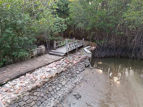 รูป ศูนย์ศึกษาการพัฒนาอ่าวคุ้งกระเบน ป่าชายเลน Wongnai