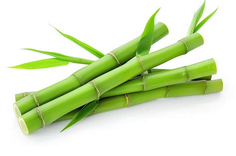 Photography Of Bamboo White Background Premium Ai Generated Image