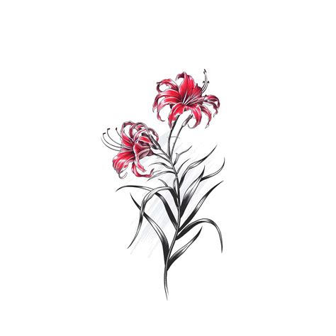 Red Spider Lily Tattoo Sketch Blackwork Floral Line Art Fine Line