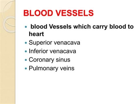 Cardiovascular System Cpt Coding Pptx