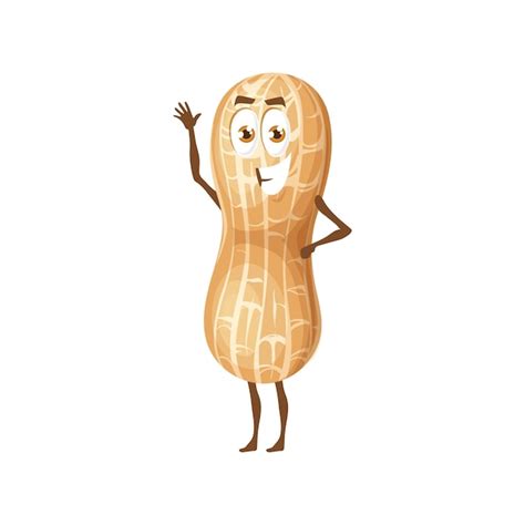 Premium Vector Funny Peanut Or Groundnut Character Personage