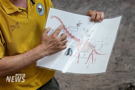 Thai 30 ปี ปลุกยักษ์หลับ “ภูเวียง” ให้กลับมามีชีวิตชีวาอีกครั้ง การกลับมาเริ่มขุดสำรวจ ฟอสซิล