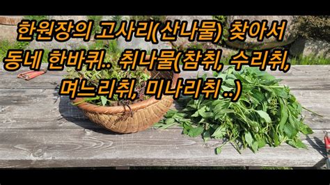 한원장의 산나물 고사리 찾아 동네 한바퀴 취나물 미나리취 Youtube