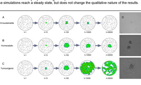 three different examples of simulations resulting from the