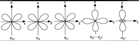 4 Draw The Shapes Of 5d Orbitals Also Indicate The Signs Of Wave Functions And Nodal Planes In