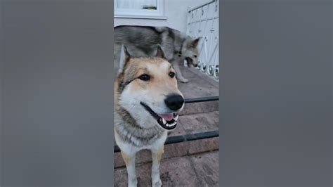 КТО ТО НАСЛЕДИЛ Youtube