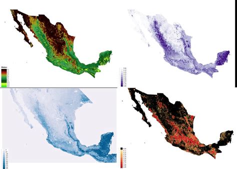 Examples Of Variable Maps Generated As Input For Modelling Ecosystem Download Scientific