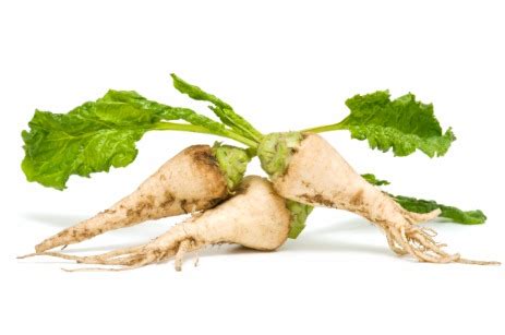 USDA Partially Deregulates GM Sugar Beets Defying Court Order Grist