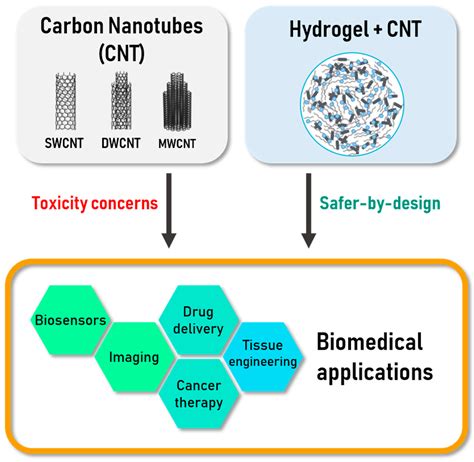 Overview Of Carbon Nanotubes For Biomedical Applications