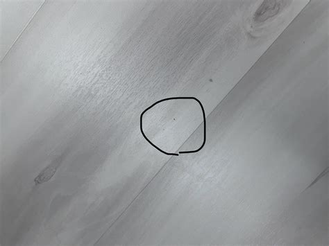 Help Me Identify These Super Tiny Jumpy Black Bugs Rpestcontrol