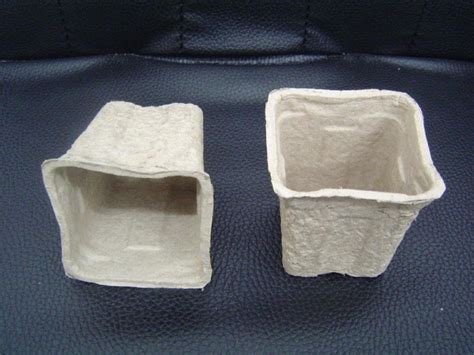 Flower Pots Disposable And Biodegradable Lpm Taiwan Manufacturer