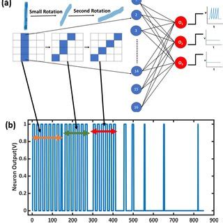 A Toy Neural Network With Input Neurons And Output Neurons For Download Scientific