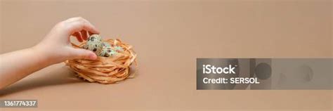 아이의 손에 천연 색의 메추라기 계란 복사 공간 부활절 테마 균일 한 배경에 둥지에 메추라기 계란 텍스트 배치 건강한 식생활에