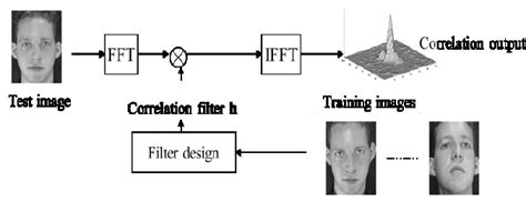 Figure 1 From A Robust Recognition System For Partially Occluded Faces Semantic Scholar