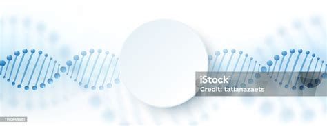 Dna 염색체 배너 개념입니다 과학 기술 중심에 원형 종이 흰색 요소와 생물 의학 건강 화학 디자인을 위한 벡터 배경 3d 스타일 Dna에 대한 스톡 벡터 아트 및 기타