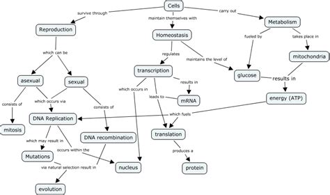 Sample Cmap What Are The Features Of A Cell