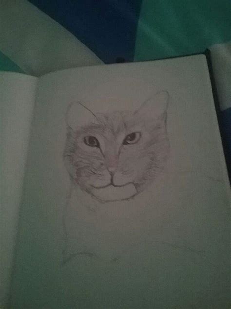 How To Draw Realestic Cat Face Part 2 Shading And Fur Art Enhancers Amino