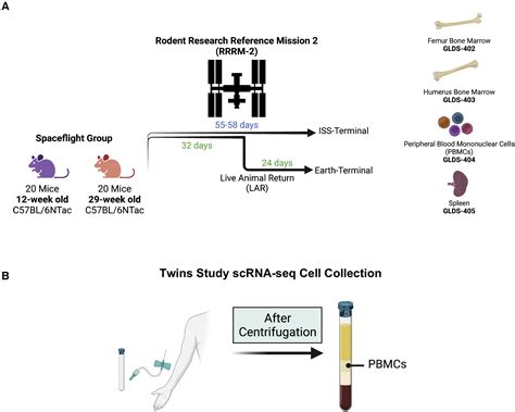 Challenges And Considerations For Single Cell And Spatially Resolved