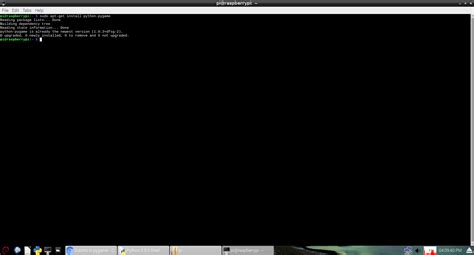 Why Is My Pygame Not Working Rpygame