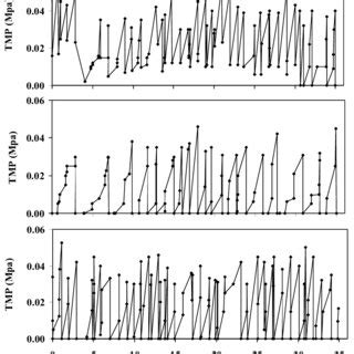 TMP Profiles Of MBR At A R1 B R2 And C R3 Download Scientific Diagram