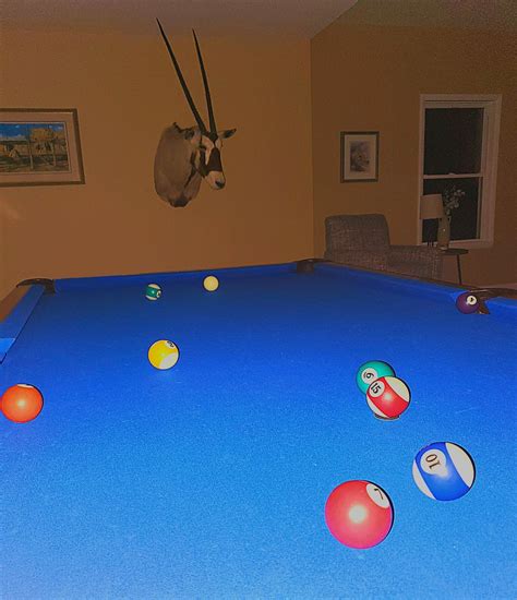 Pool Shark Pool Elk Galaxy S10 E Rphonepics