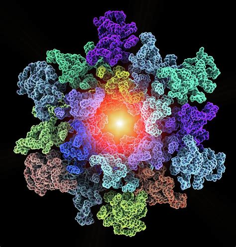 Hiv 1 Capsid In Intact Virus Particle Photograph By Alfred Pasieka Pixels