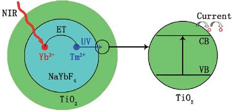 Photoelectric Effect Principle Of Naybf 4 Tm 3 Tio 2 Coreshell
