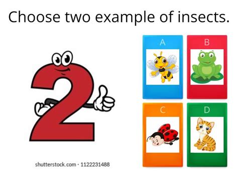 Insect Primary Quiz