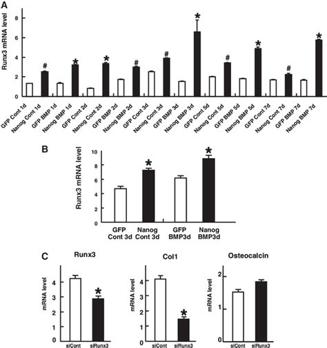 Runx3 As A Downstream Effector Of Nanog We Measured The Expression