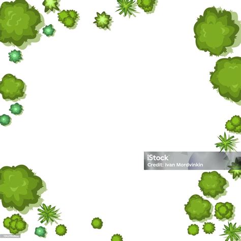 숲속의 글레이드 텍스트가 있는 프레임입니다 나무와 관목 위에서 볼 수 있습니다 식물 풍경 맨 위 보기입니다 높이 만화 스타일의 일러스트레이션 흰색 배경 벡터에서 격리 0명에