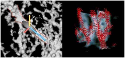 1 Structure Tensor And The Three Eigenvectors E And Their Respective Download Scientific