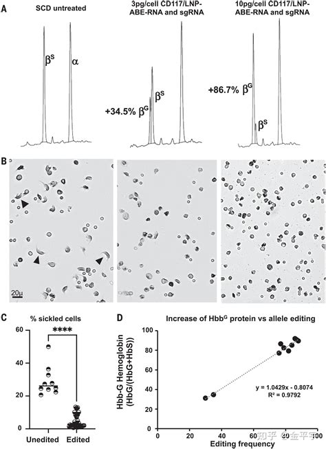 基于rna的基因编辑：向治疗血液疾病的新方法迈进 知乎