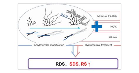 Production Of An In Vitro Low Digestible Starch Via Hydrothermal