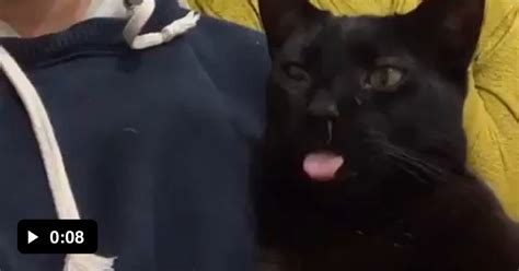 When Pussies Cream All Over You 9gag