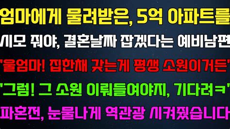 반전 신청사연 엄마에게 물려받은 아파트를 시모 줘야 결혼날짜 잡겠다는 예비남편 시원한 역관광하고 반품하는데사연카페실화사연
