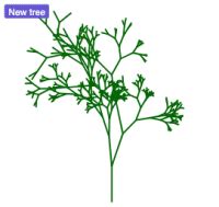 Step Use New Tool And Iterate GeoGebra