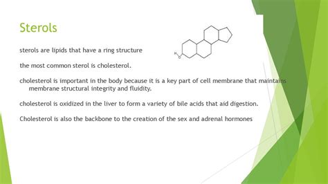 Fats Ppt Download