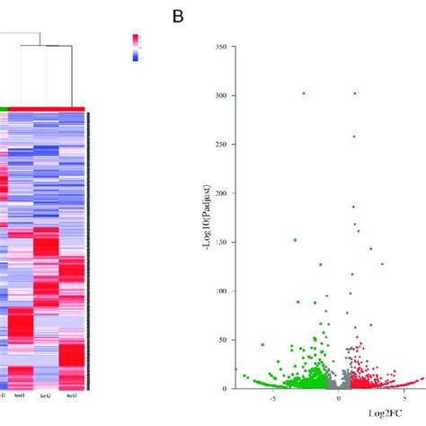 Differentially Expressed Circrnas Profiles The Heatmap Cluster Download Scientific Diagram
