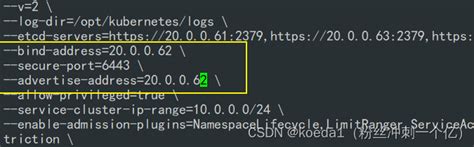【k8s 二进制部署】部署kurbernetes的网络组件、高可用集群、相关工具kube Flannel与kube System Csdn博客