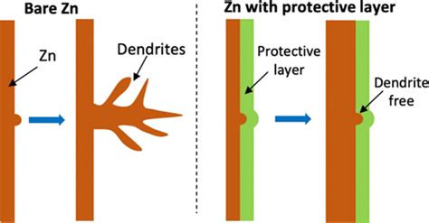 Phase Field Simulation Of A Dynamic Protective Layer For The Inhibition
