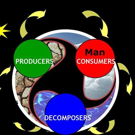 The Ecosystem Approach Key Components And Interactions Download Scientific Diagram