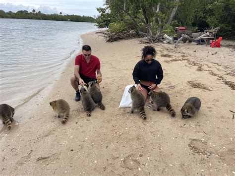 Racoon Island Private Tour Miami Boat And Yacht Rentals