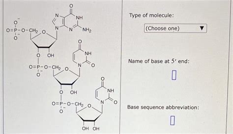 Solved For Each Molecule In The Table Below Classify The Chegg Com