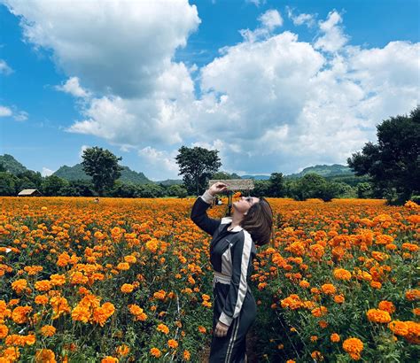 မြန်မာ့ဂုဏ်ရည်ဓမ္မစကူးလ် Added မြန်မာ့ဂုဏ်ရည်ဓမ္မစကူးလ်