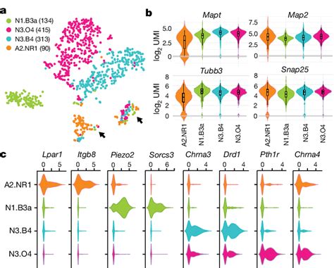 Single Cell Rna Seq Analysis