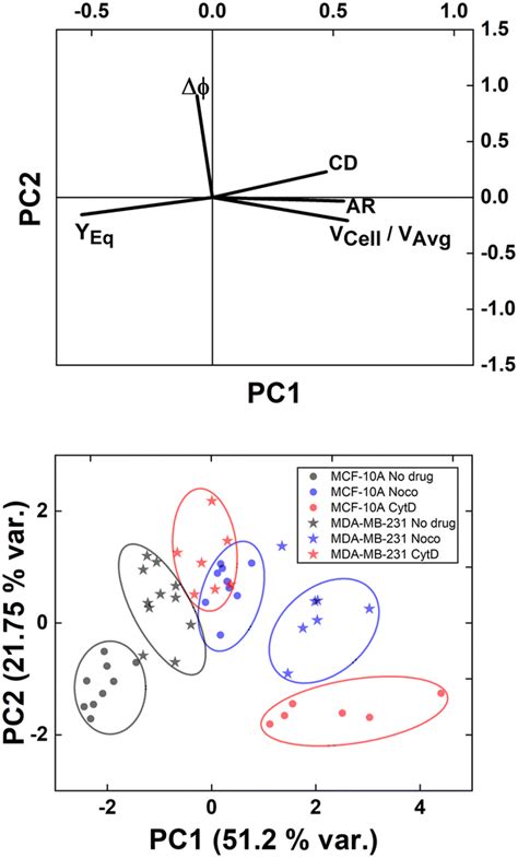 Cell Deformability Heterogeneity Recognition By Unsupervised Machine Learning From In Flow